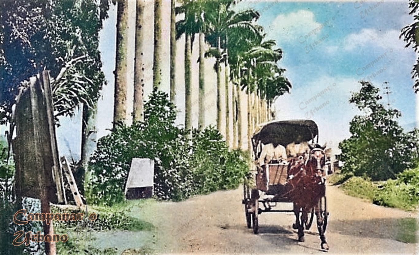 Hacienda Maturín de Guarenas - Campanario Urbano